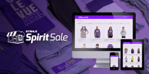 Online Stores Made Simple with Spirit Sale™ - STAHLS' Blog